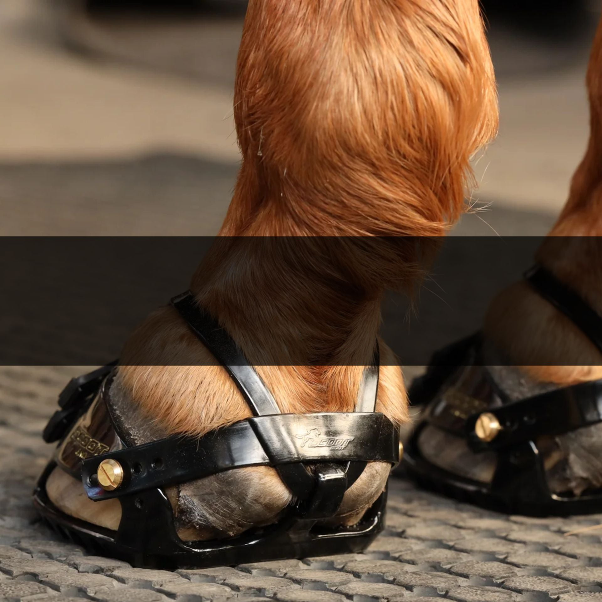 Scoot ENDUROS + Accessories – Timberline Tack + Scoot Boot Adventures!