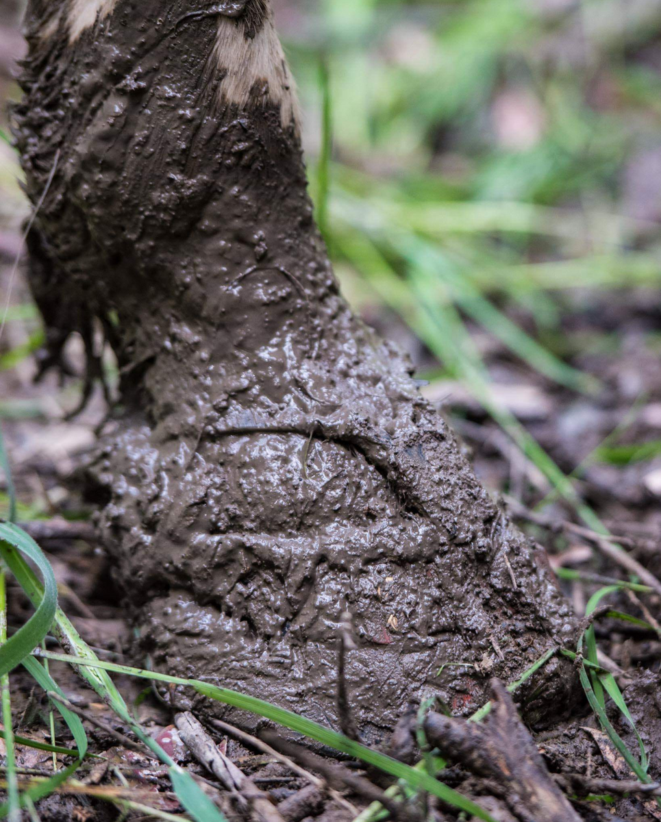 Scoot Boot Mud Straps - PAIR – Timberline Tack + Scoot Boot Adventures!